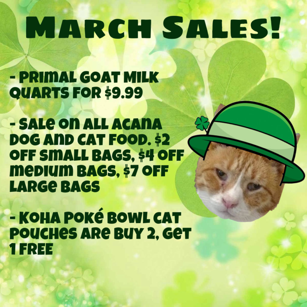 Baltimore Pet Shoppe » News